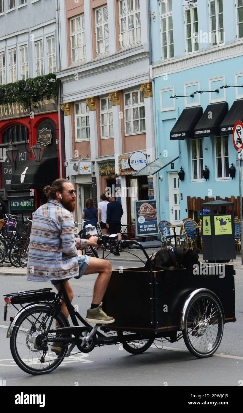 A Danish man riding his box bike with his pet dog. Copenhagen, Denmark ...