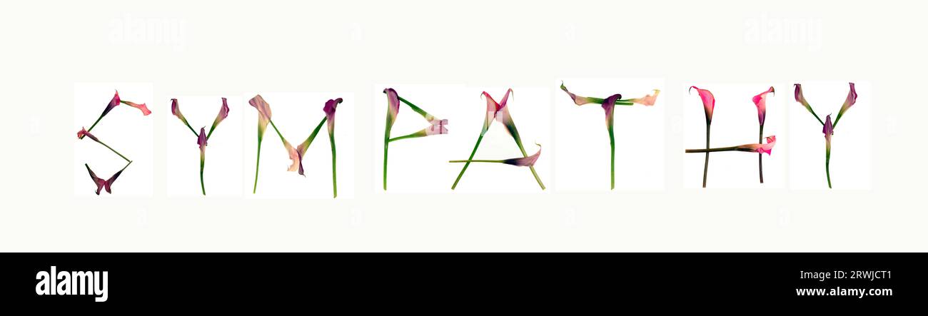SY,PATHY word-concept spelled out in colorful calla lilies, which is ...