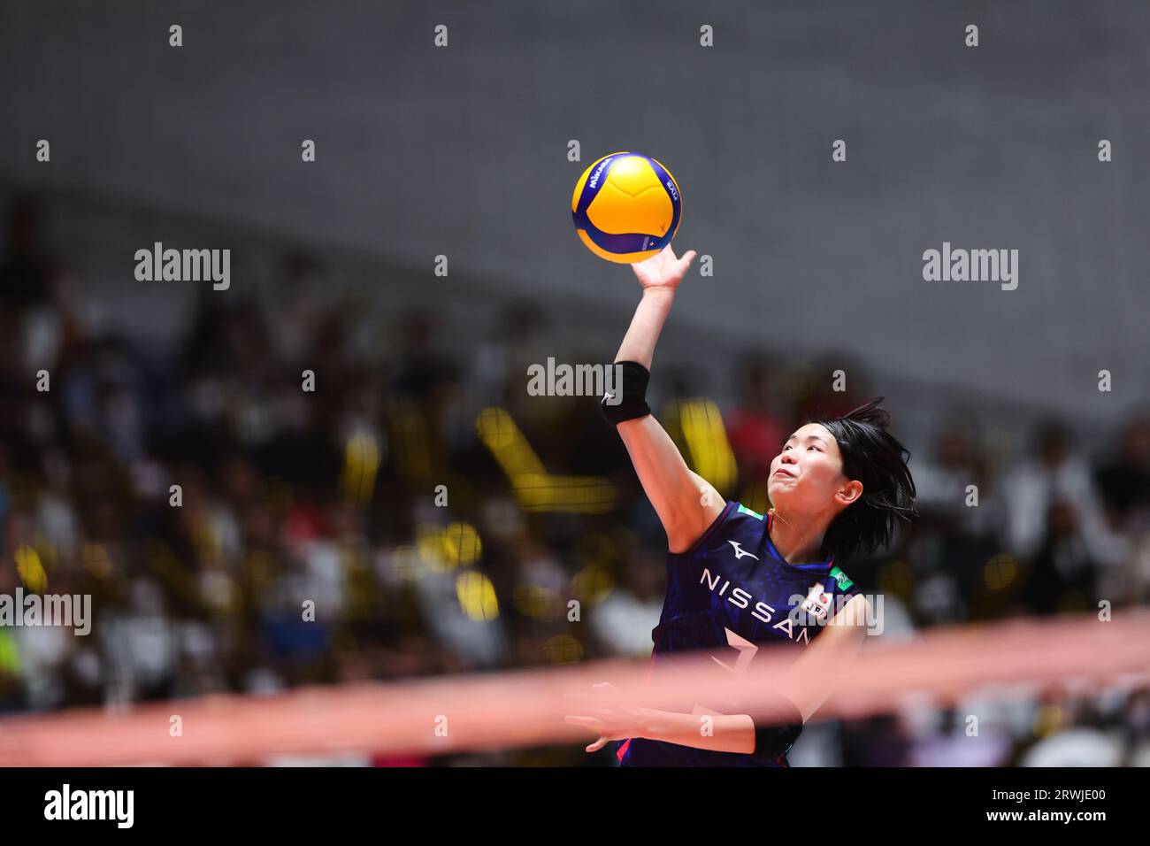 Tokyo, Japan. 19th Sep, 2023. Sarina Koga (JPN) Volleyball : FIVB Road ...