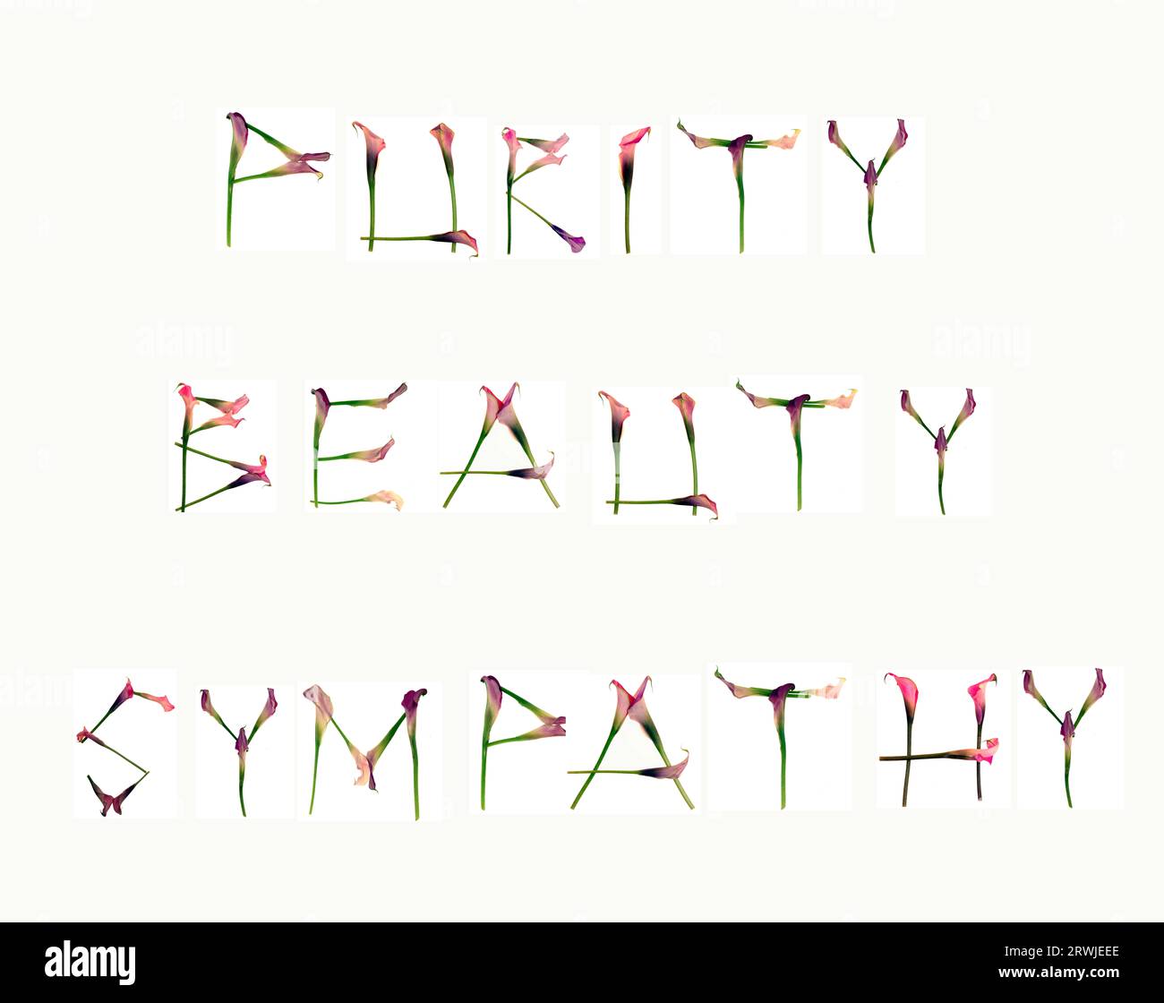 Symbolizing purity hi-res stock photography and images - Alamy