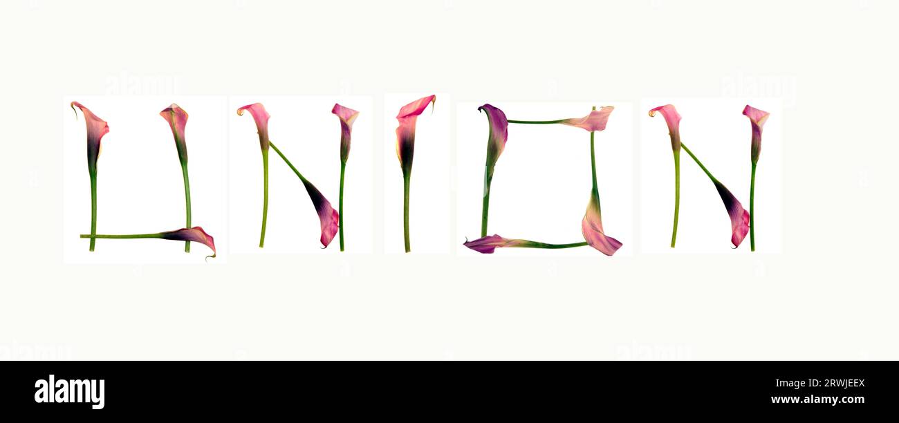 UNION word-concept spelled out in colorful calla lilies, which is one ...