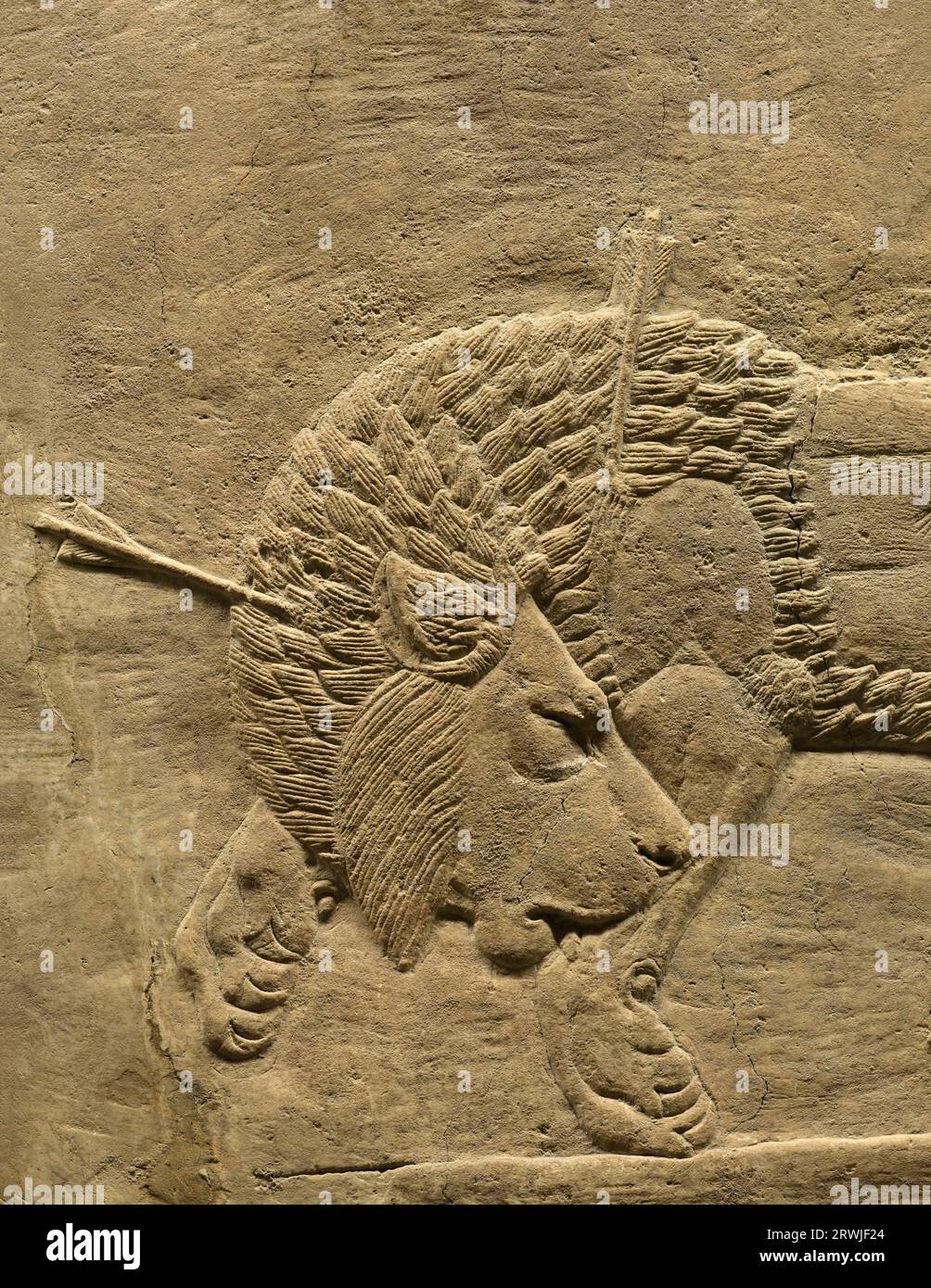 Assyrian Lion Hunt Stock Photo - Alamy