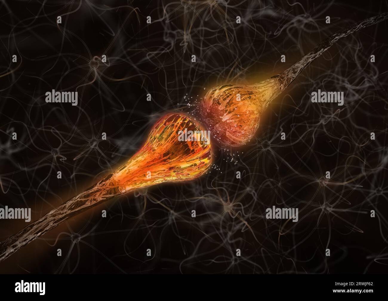 Neural synapse, illustration Stock Photo - Alamy