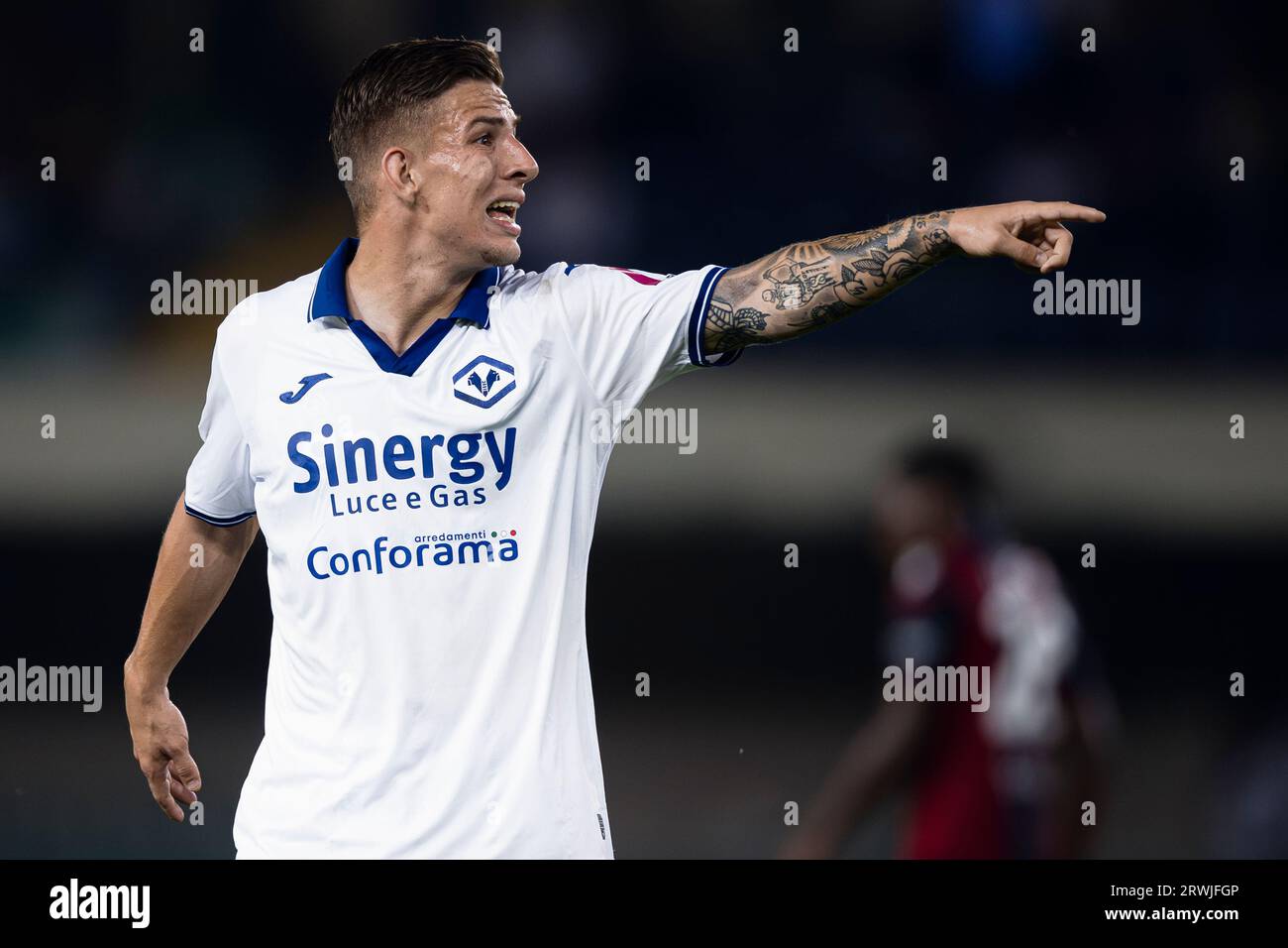 Suslov hi-res stock photography and images - Alamy