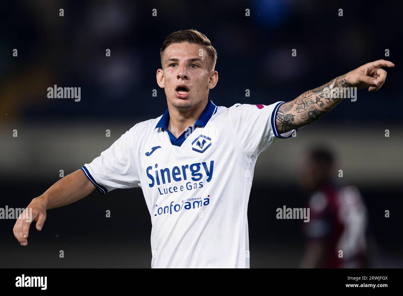 Suslov hi-res stock photography and images - Alamy