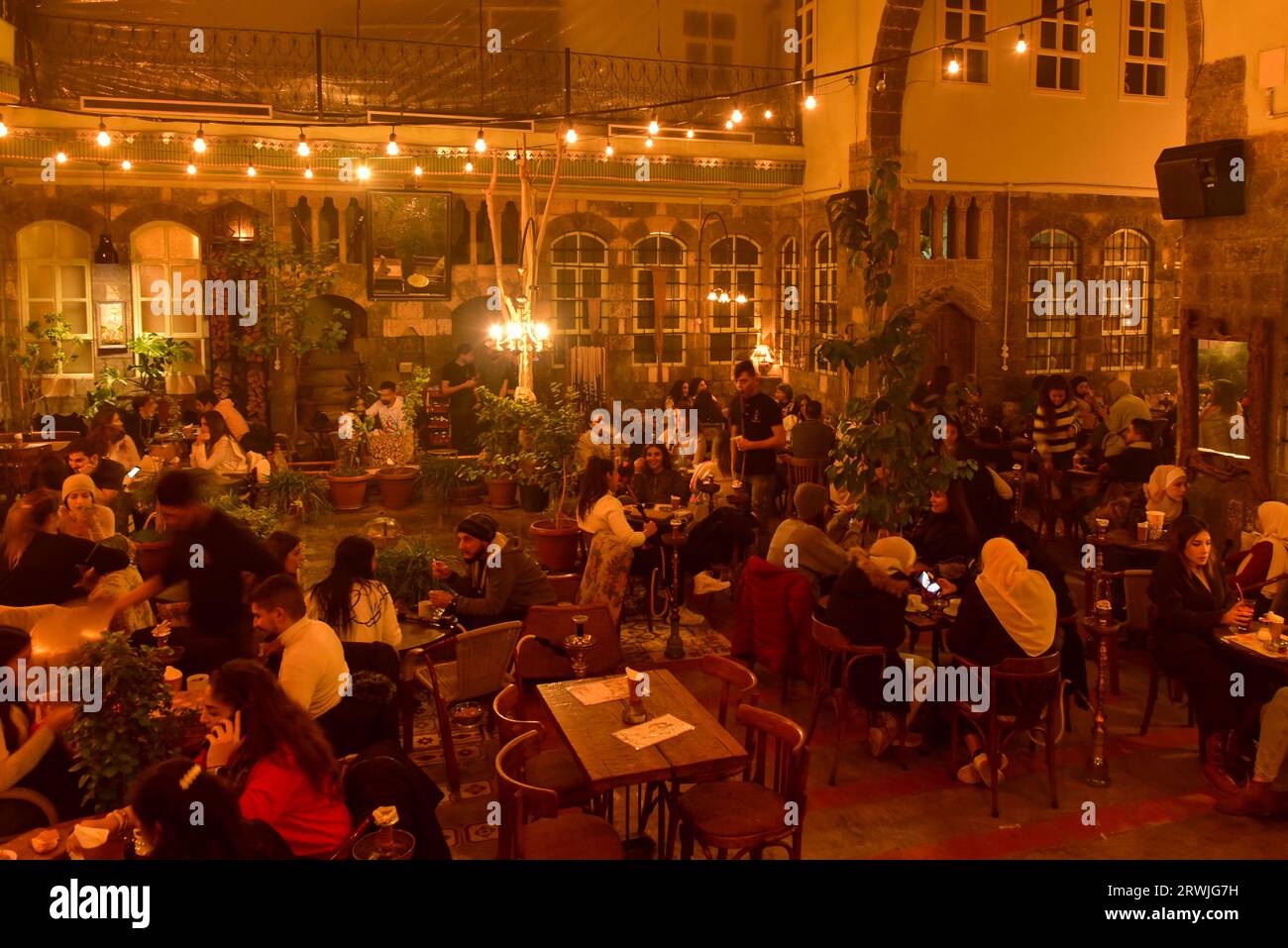 Locals hanging out in a grand yet cosy argileh lounge tucked in the ...