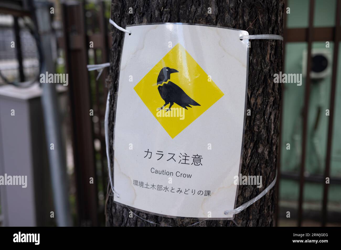 Caution crows hi-res stock photography and images - Alamy