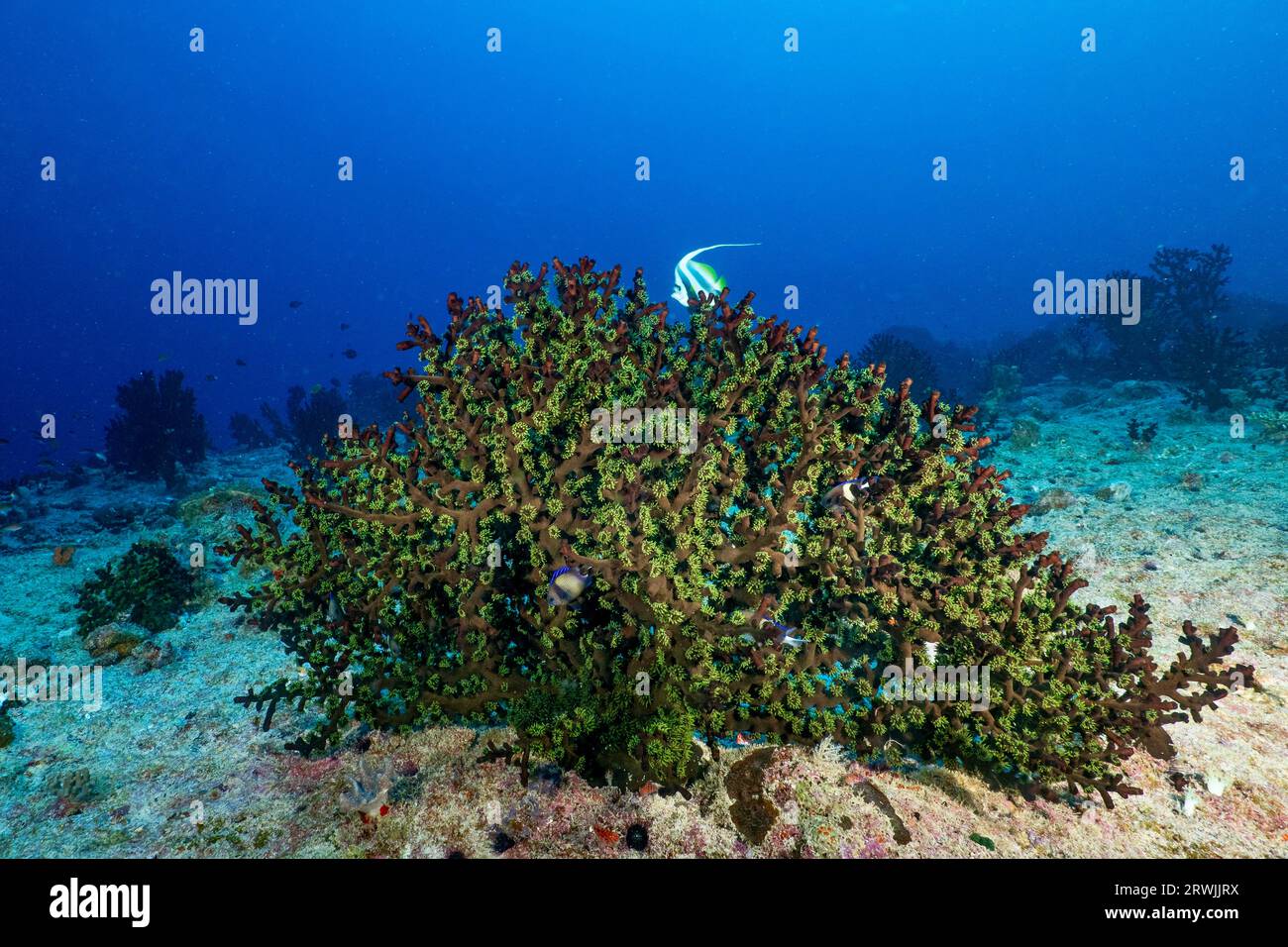 38 meters hi-res stock photography and images - Alamy