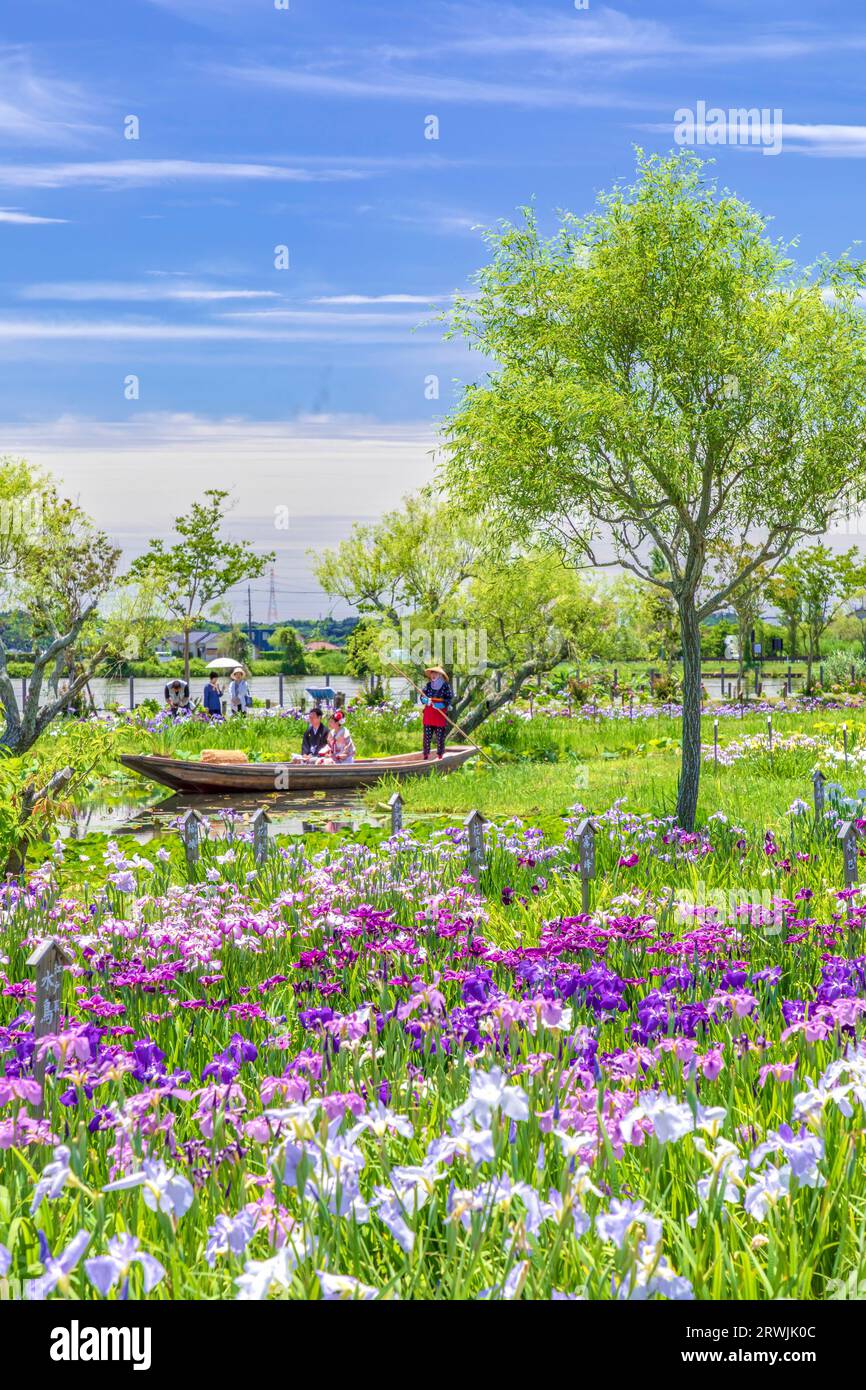 Sawara katori hi-res stock photography and images - Alamy