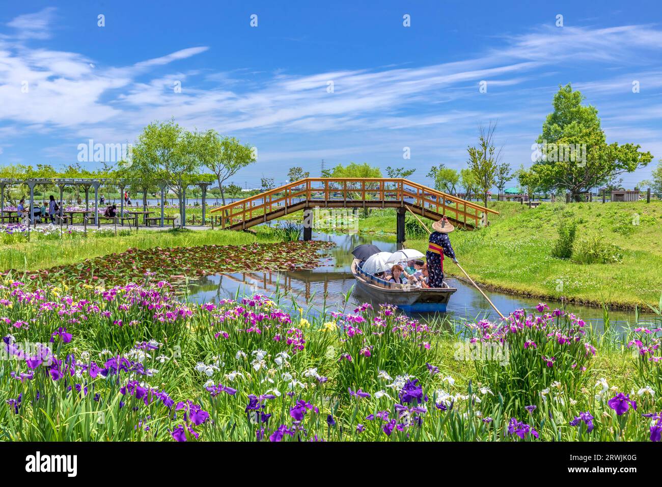 Suigo Sawara Iris Park Stock Photo - Alamy