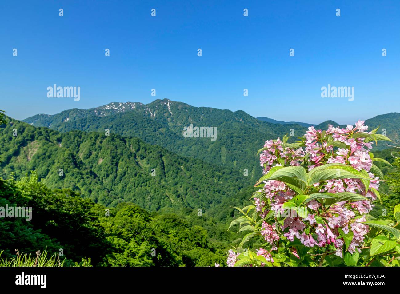 Shirakamidake hi-res stock photography and images - Alamy