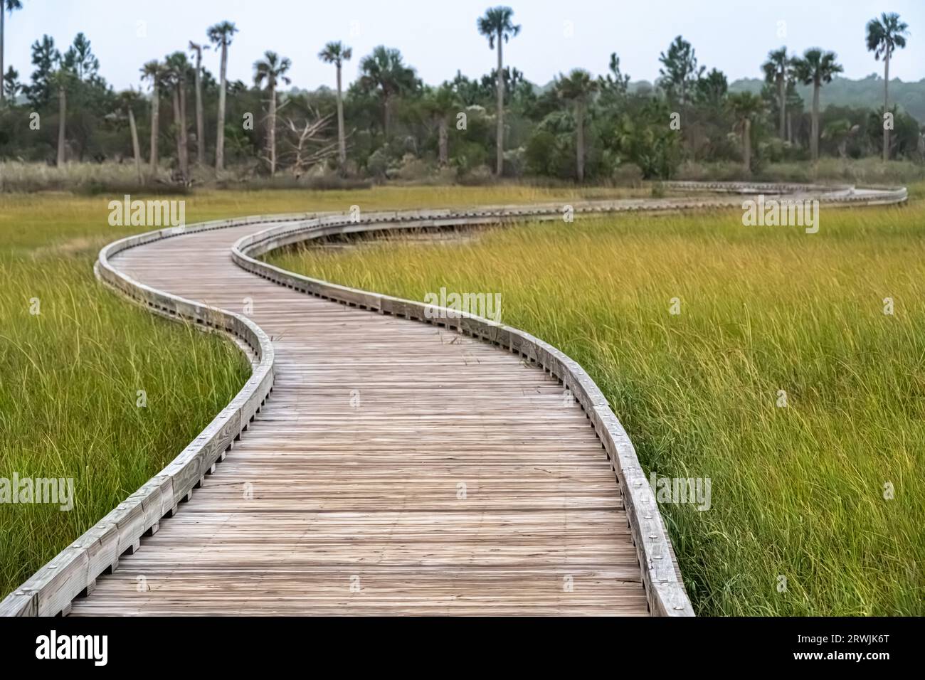Tolomato River Boardwalk over the salt marsh at Palencia along the ...