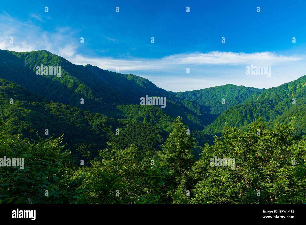 Shirakamidake hi-res stock photography and images - Alamy