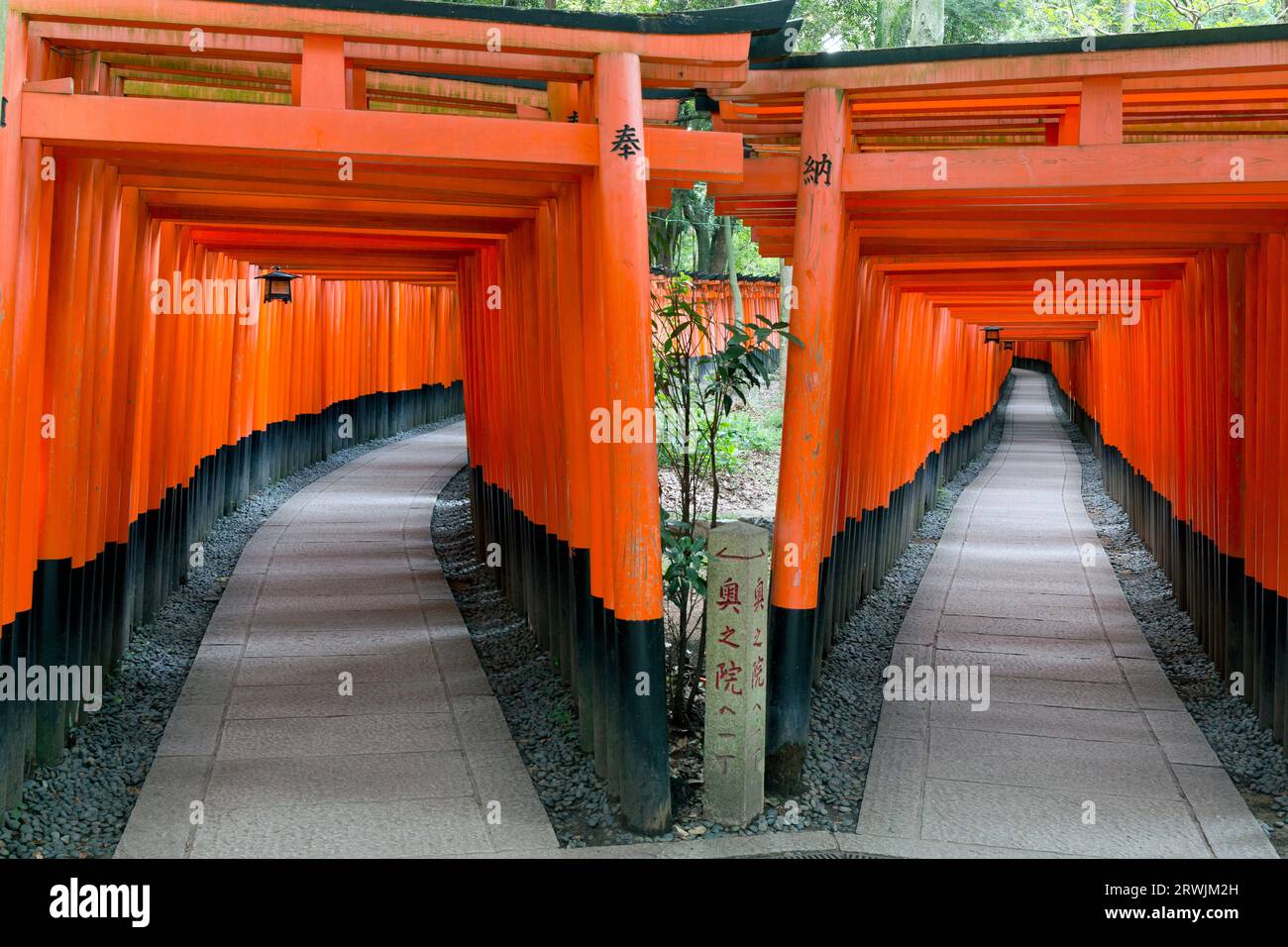 Fushimi Inari-taisha Shrine - Senbon-torii Stock Photo - Alamy