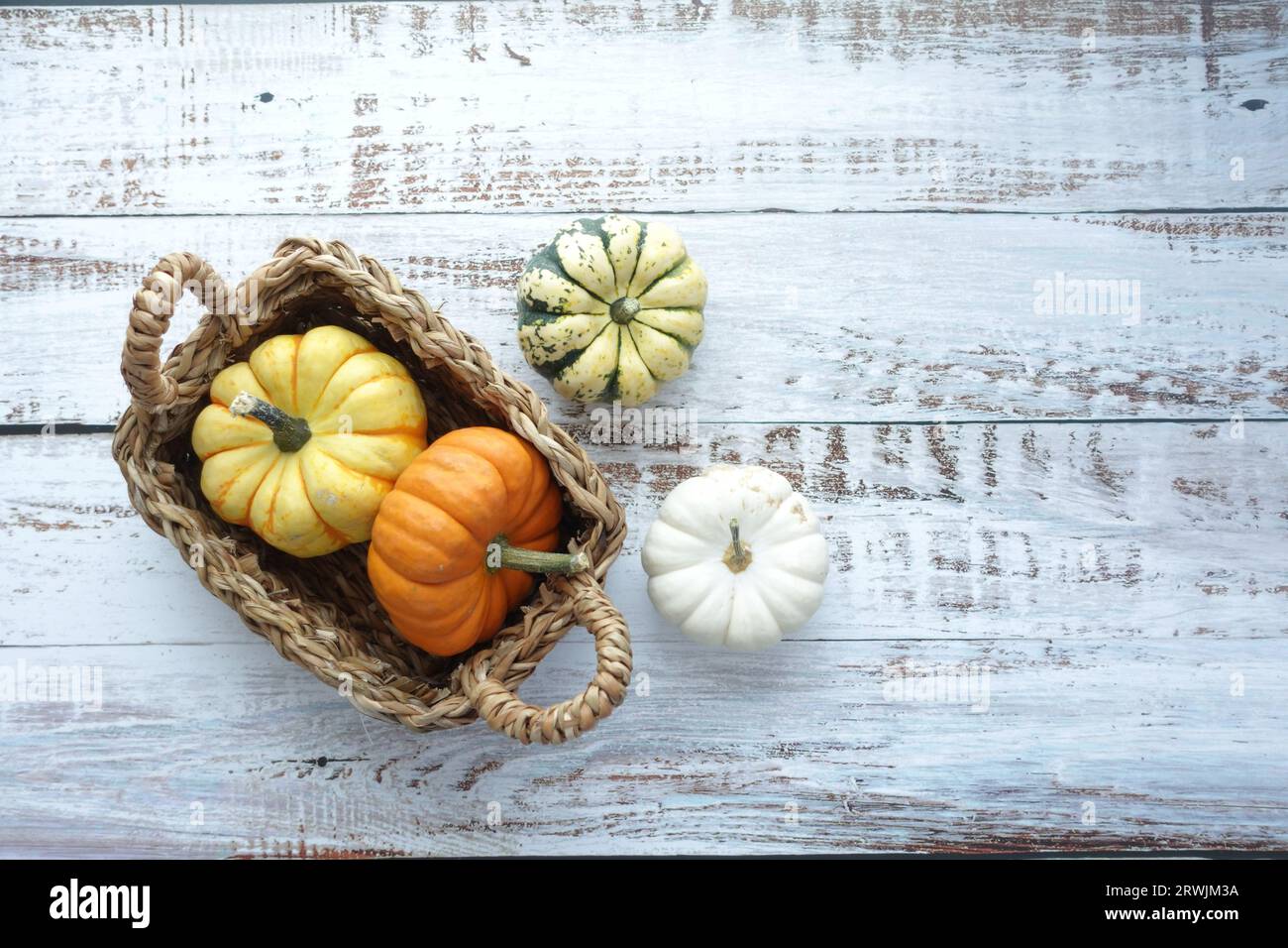 Different types of mini pumpkins color background Stock Photo - Alamy