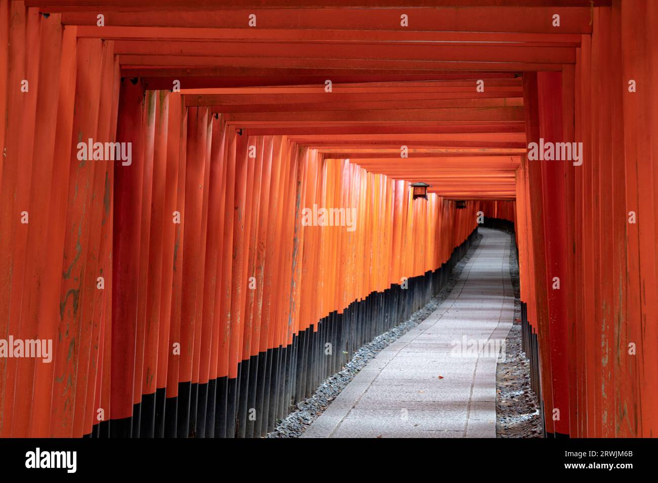 Fushimi Inari-taisha Shrine - Senbon-torii Stock Photo - Alamy