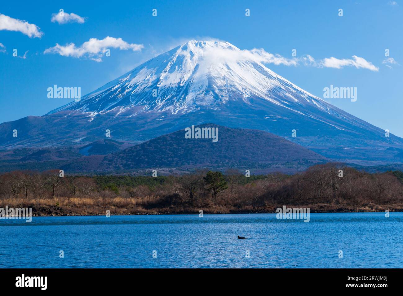 Fuji from Lake Shojin Stock Photo - Alamy