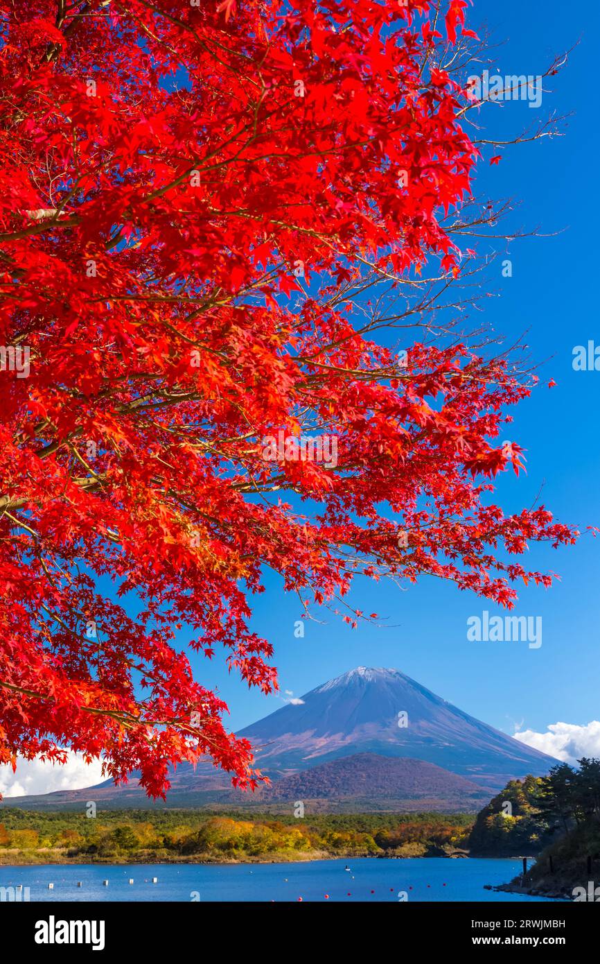 Lake shojin hi-res stock photography and images - Alamy
