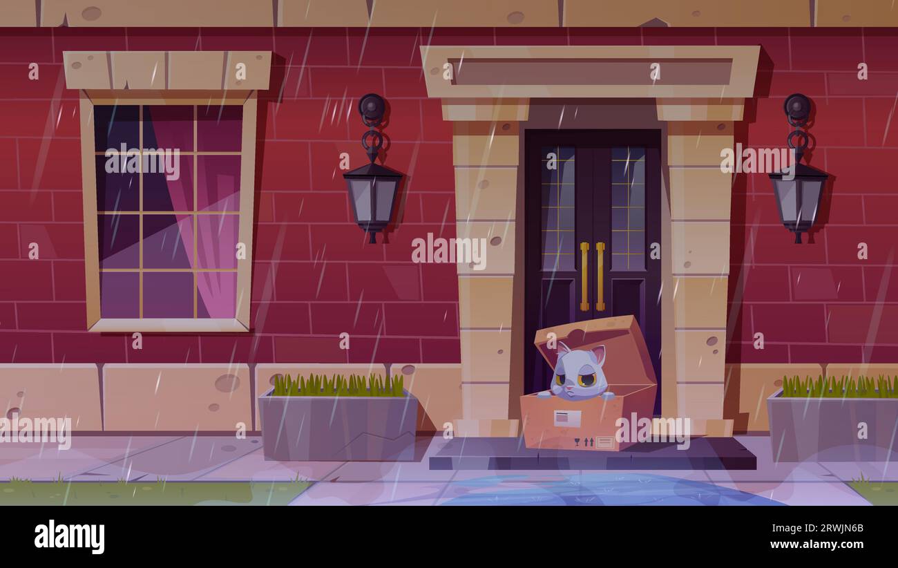 Homeless wet cat sitting in cardboard box on house porch in rainy ...