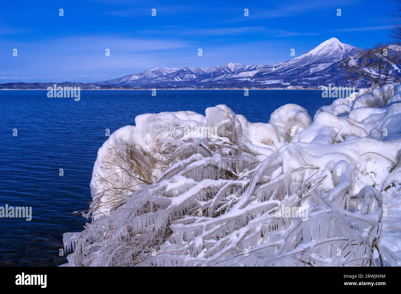 Shibuki hi-res stock photography and images - Alamy