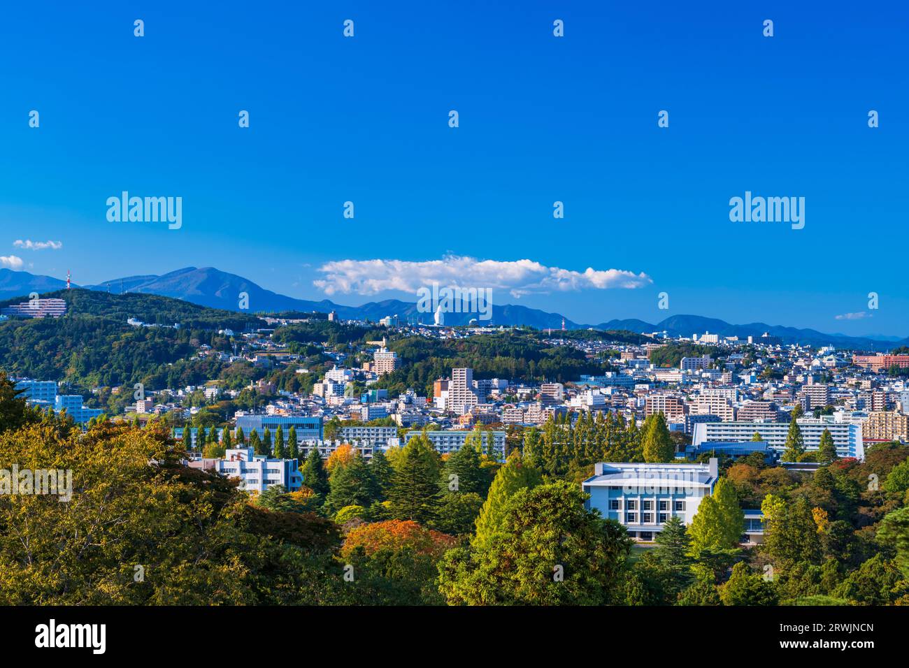 Sendai castle ruins hi-res stock photography and images - Alamy