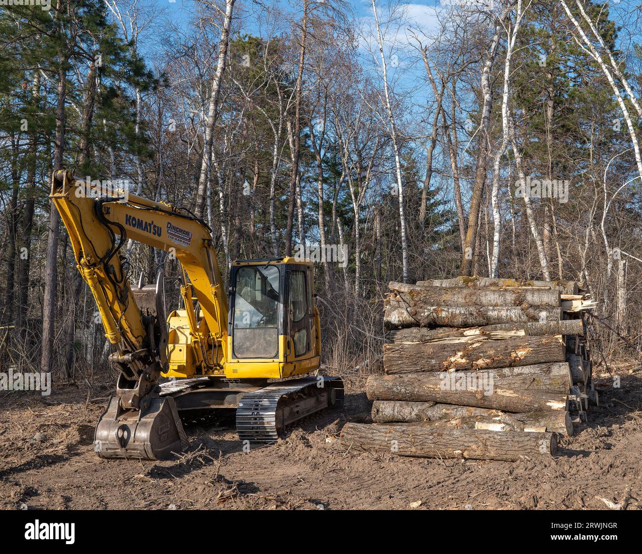 CROW WING CO, MN - 3 MAY 2023: A pile of wood logs sits next to a ...