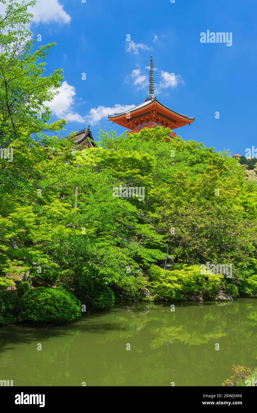 Three-storied pagoda of Kiyomizu-dera in fresh green Stock Photo - Alamy