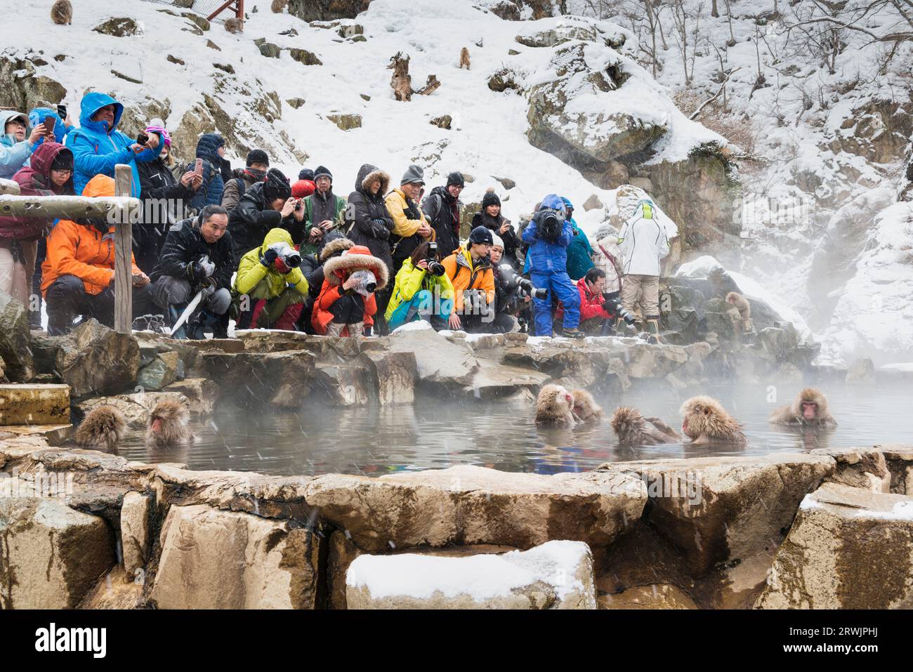 Jigokudani monkey park landscape hi-res stock photography and images ...