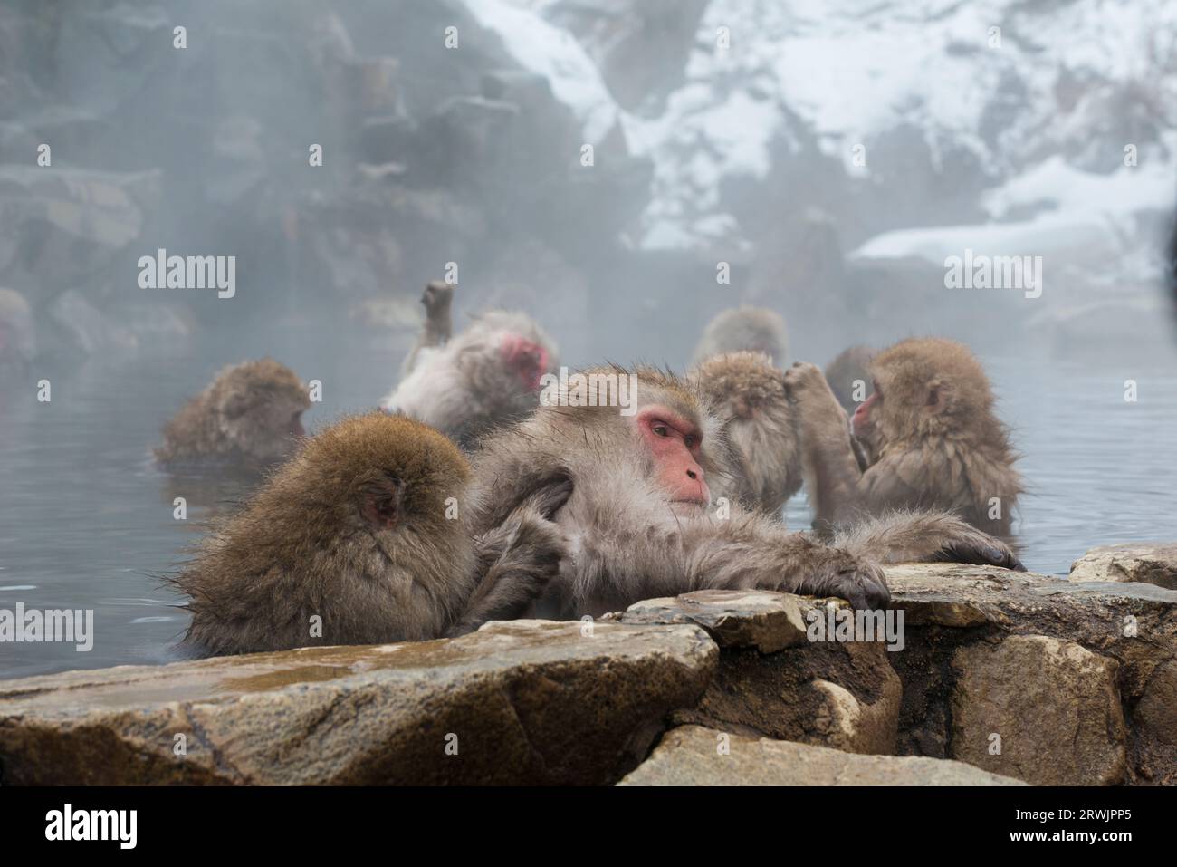 Onsen koen hi-res stock photography and images - Alamy