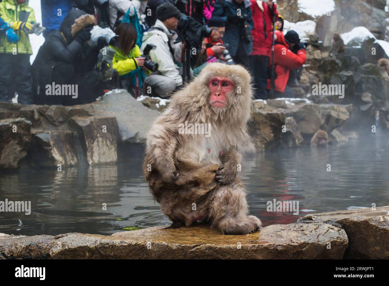 Jigokudani onsen tourist hi-res stock photography and images - Alamy