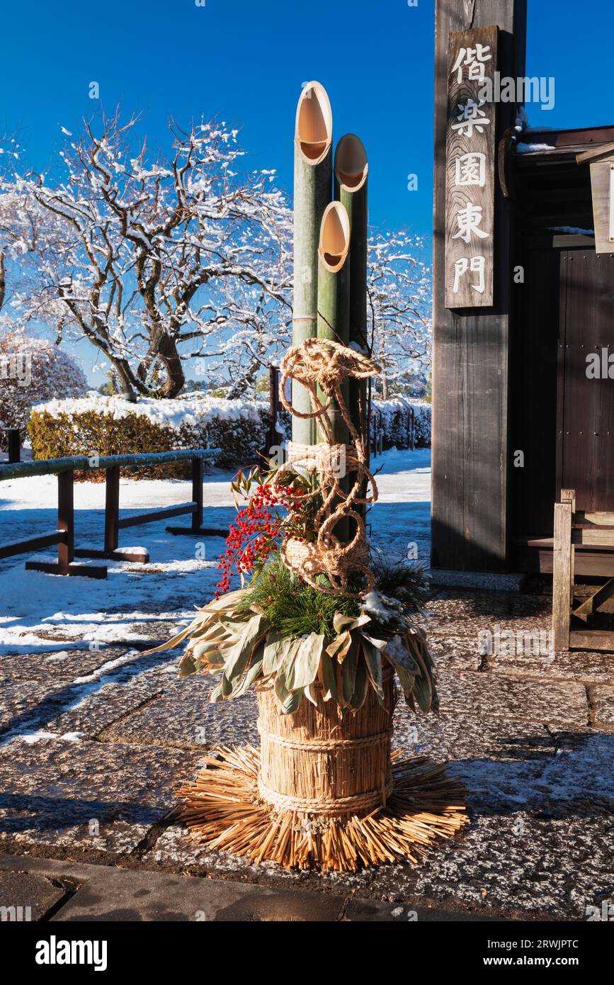Kadomatsu pine tree Stock Photo - Alamy