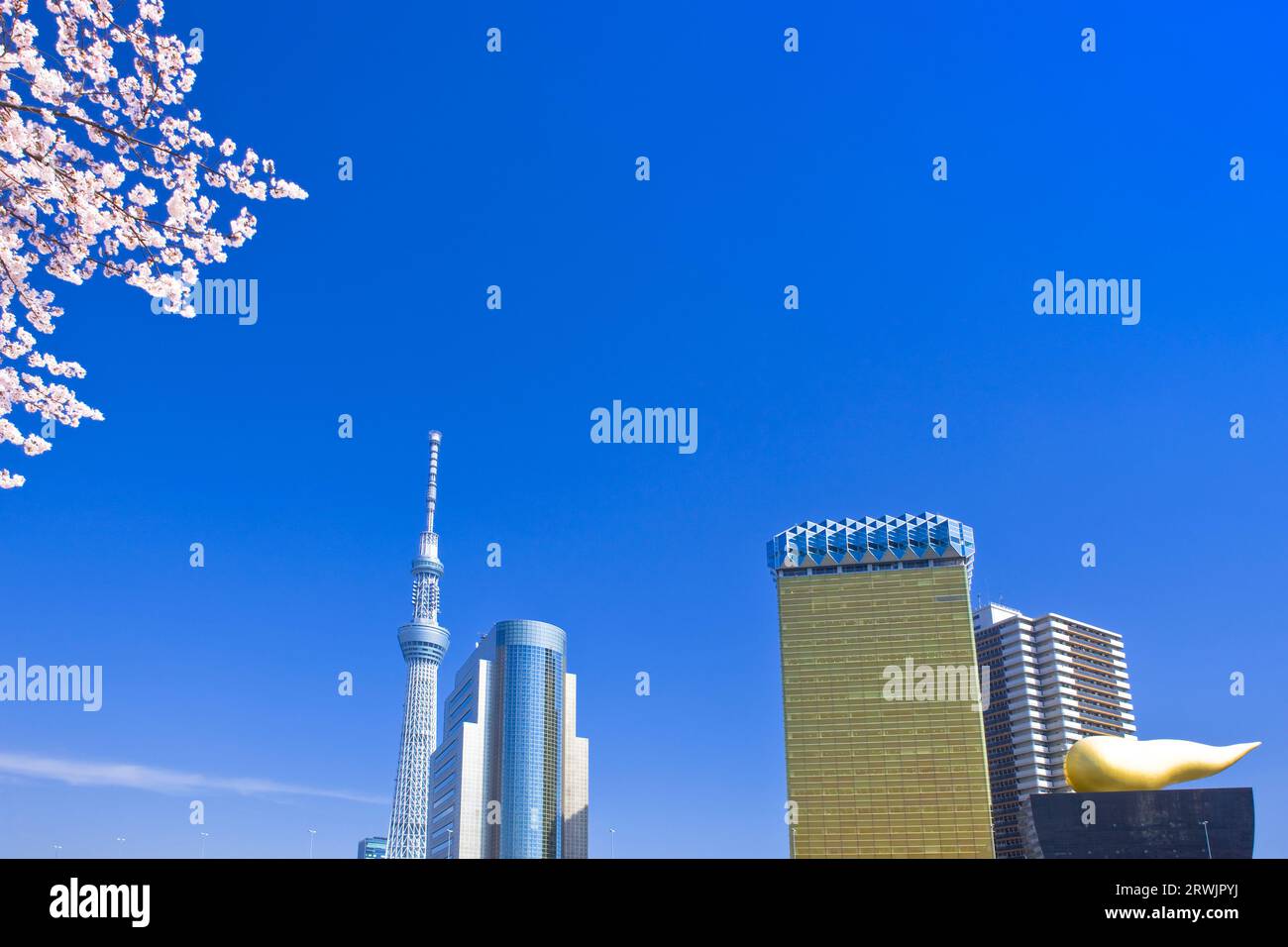 Tokyo Sky Tree and Cherry Blossoms Stock Photo - Alamy