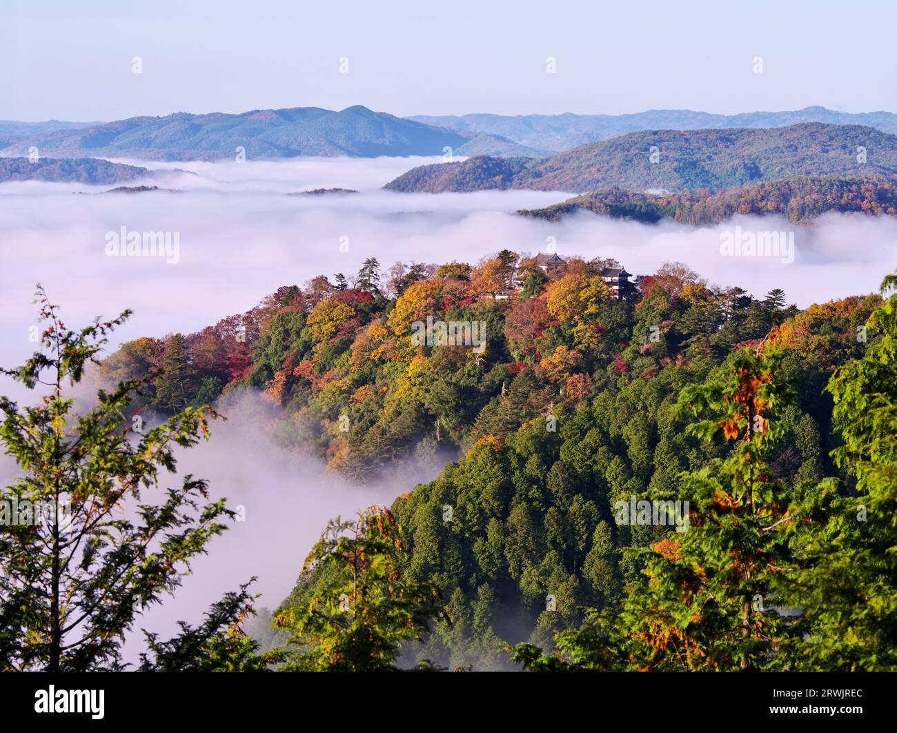 Bicchu Matsuyama Castle and Sea of Clouds Stock Photo - Alamy