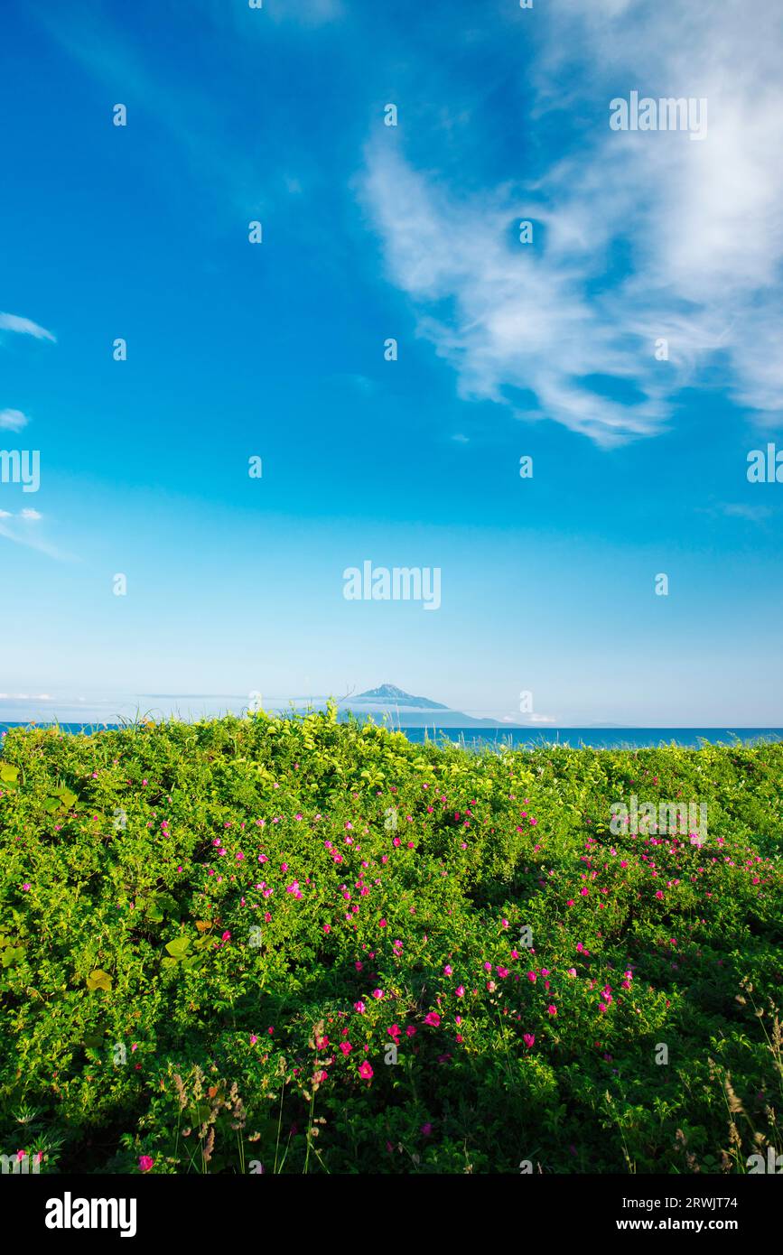 Rishiri Island, Sarobetsu Plains, and the Sea of Japan Stock Photo - Alamy