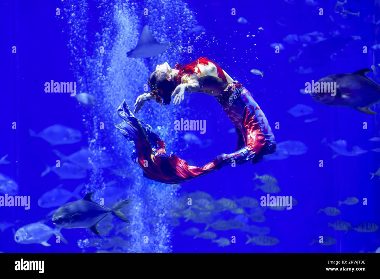 **CHINESE MAINLAND, HONG KONG, MACAU AND TAIWAN OUT** The 2023 China ...