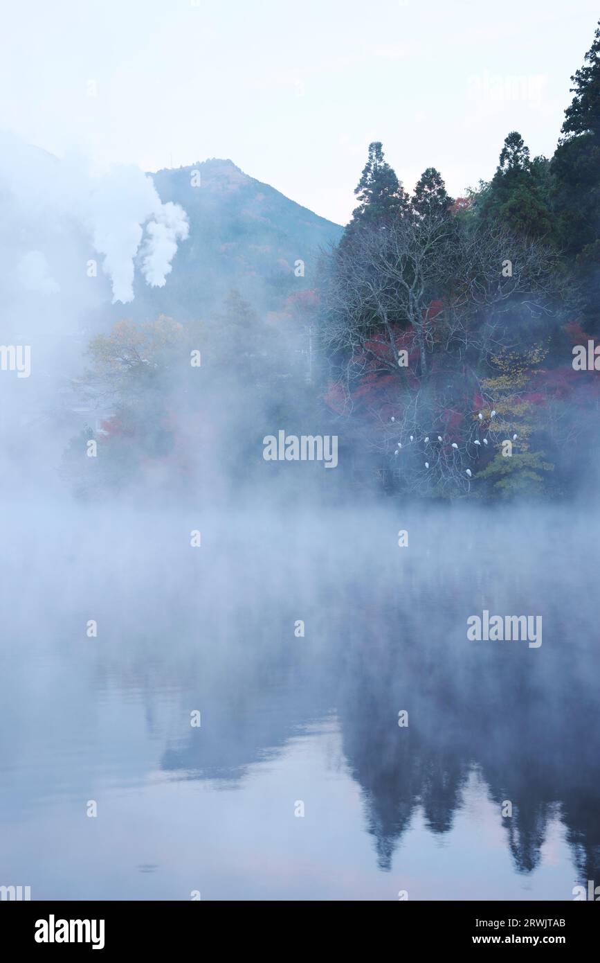Morning Mist at Lake Kinrin Stock Photo - Alamy