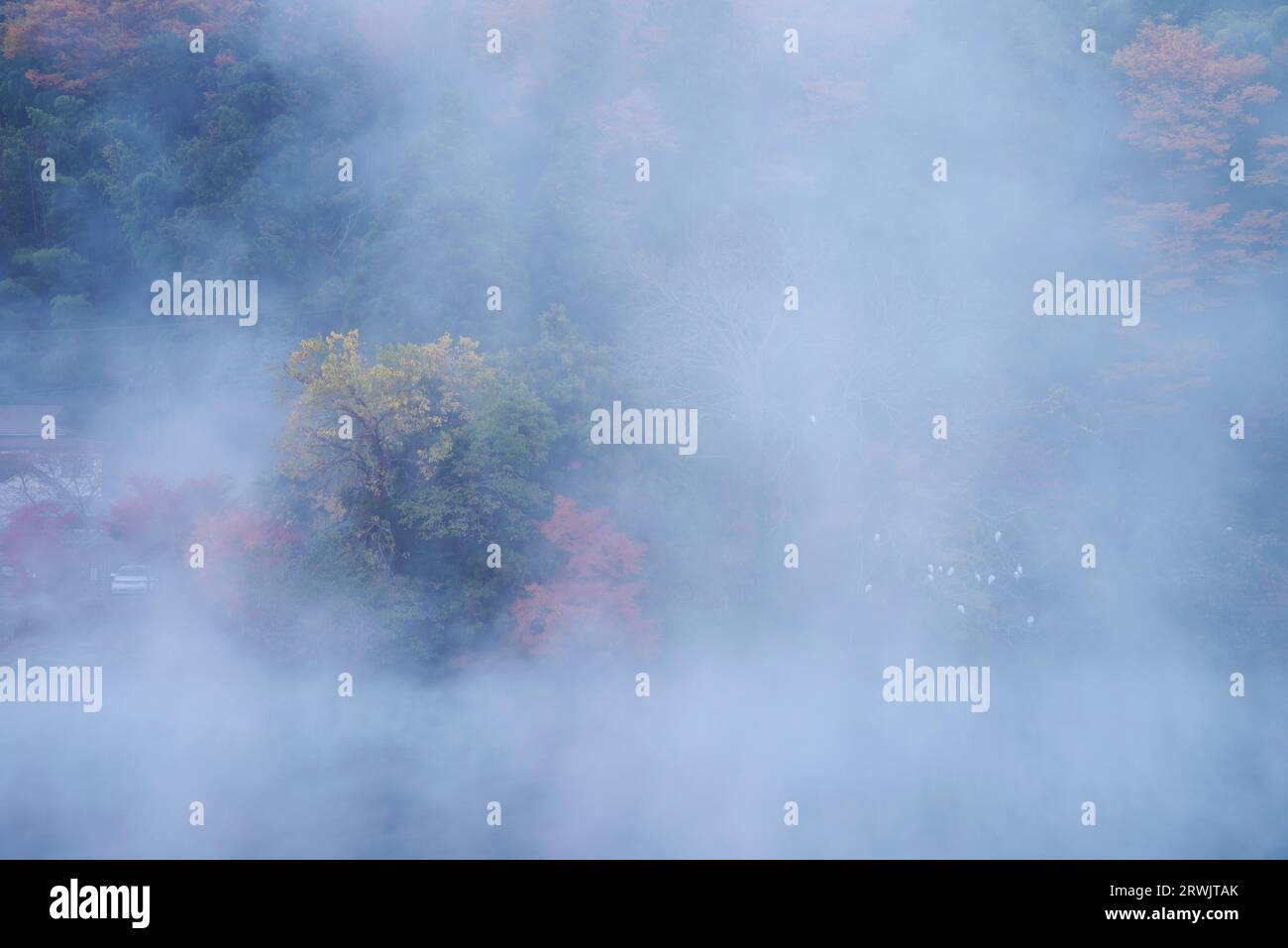 Morning Mist at Lake Kinrin Stock Photo - Alamy