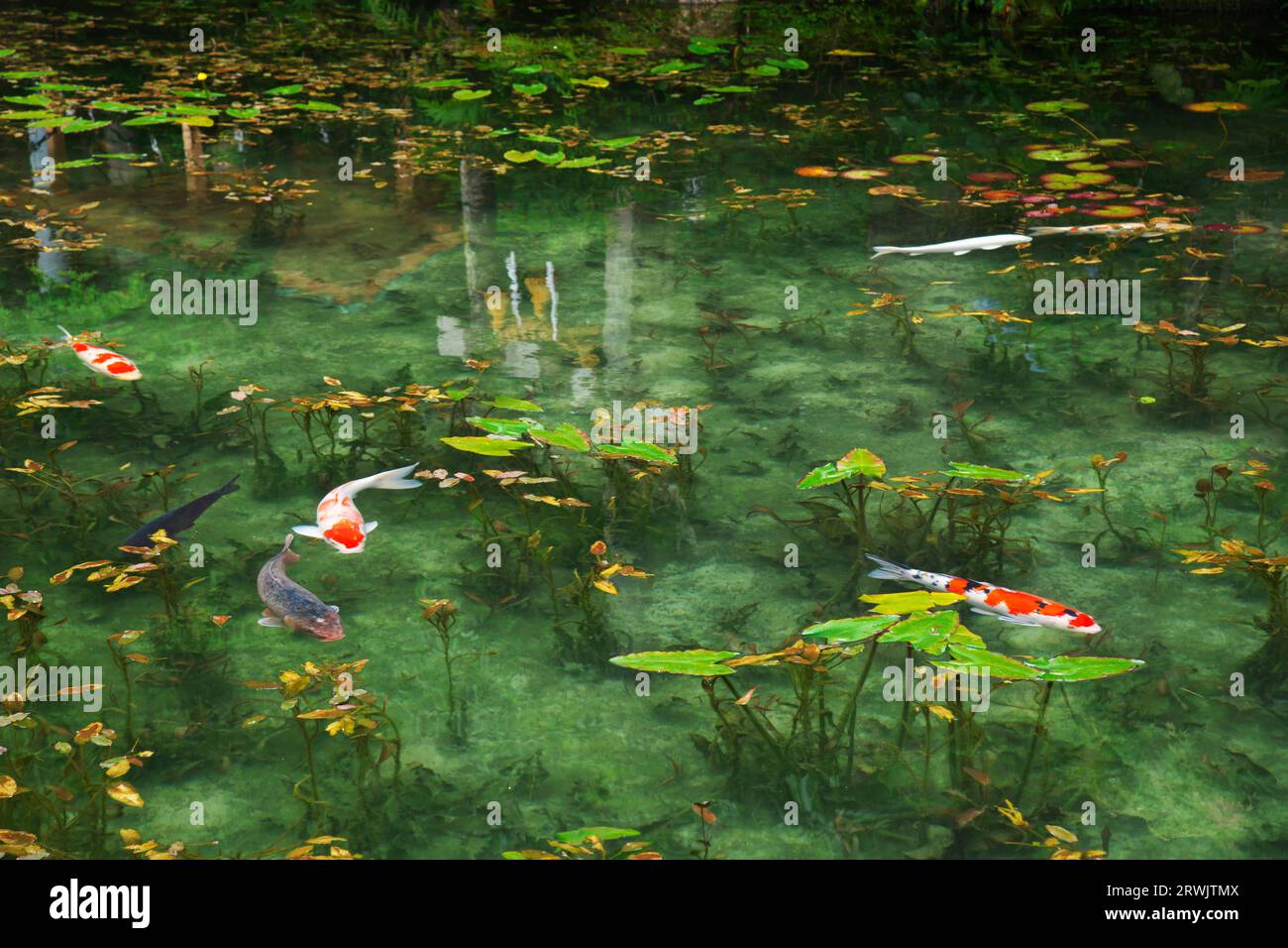 Monet's pond seki hi-res stock photography and images - Alamy