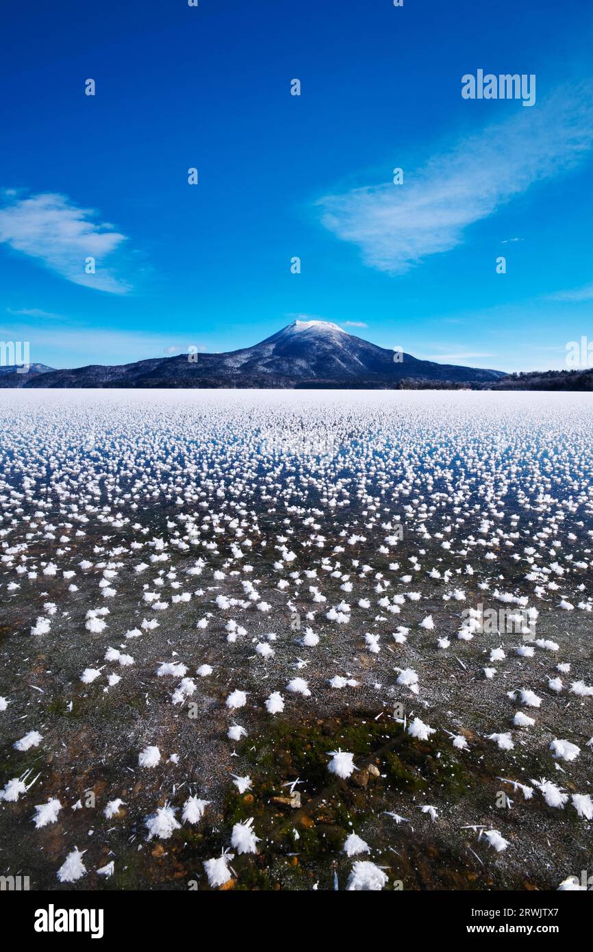 Frostflowers in Lake Akan and Mount Oakan Stock Photo - Alamy