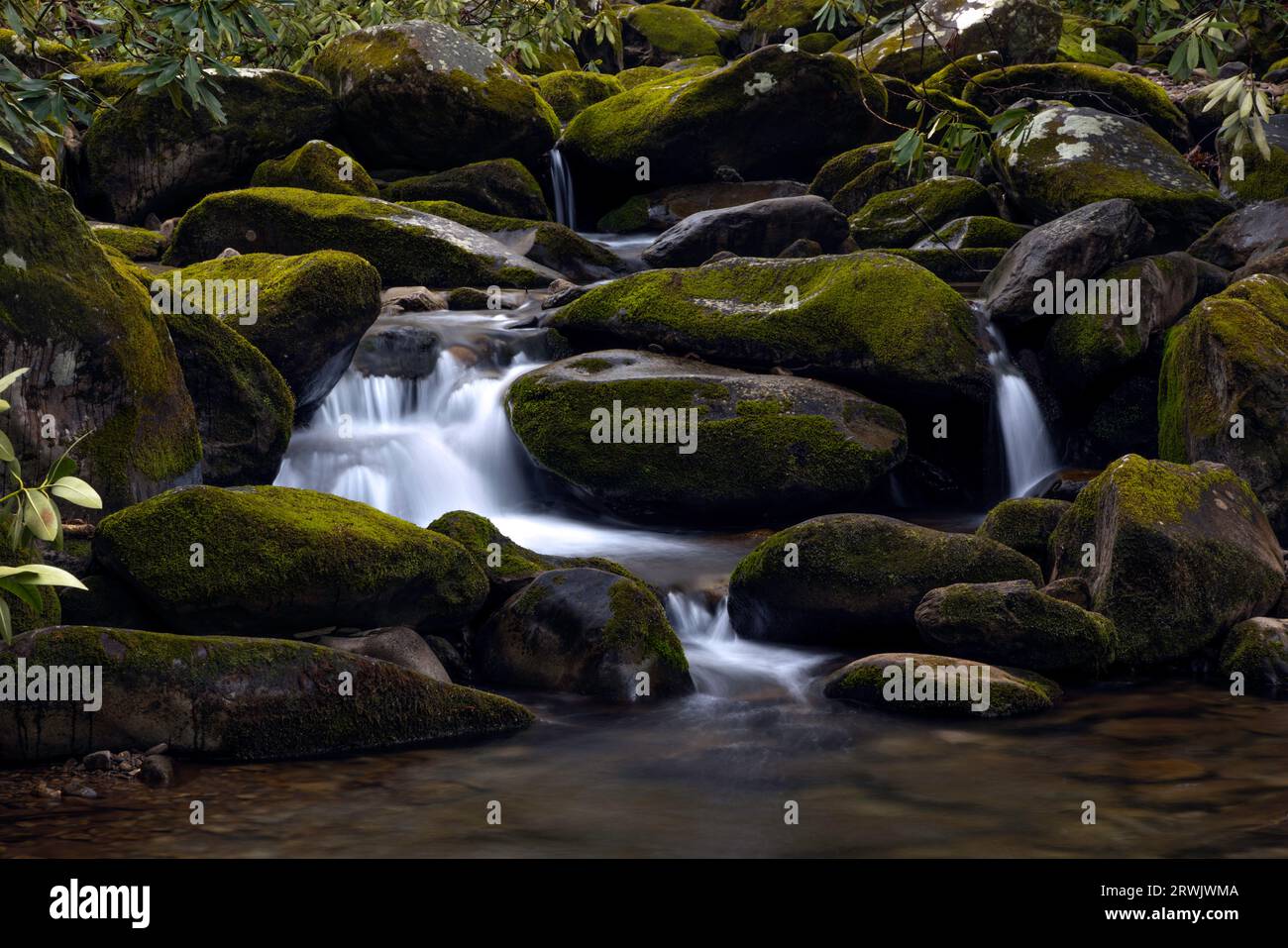 Gabes mountain trail hi-res stock photography and images - Alamy