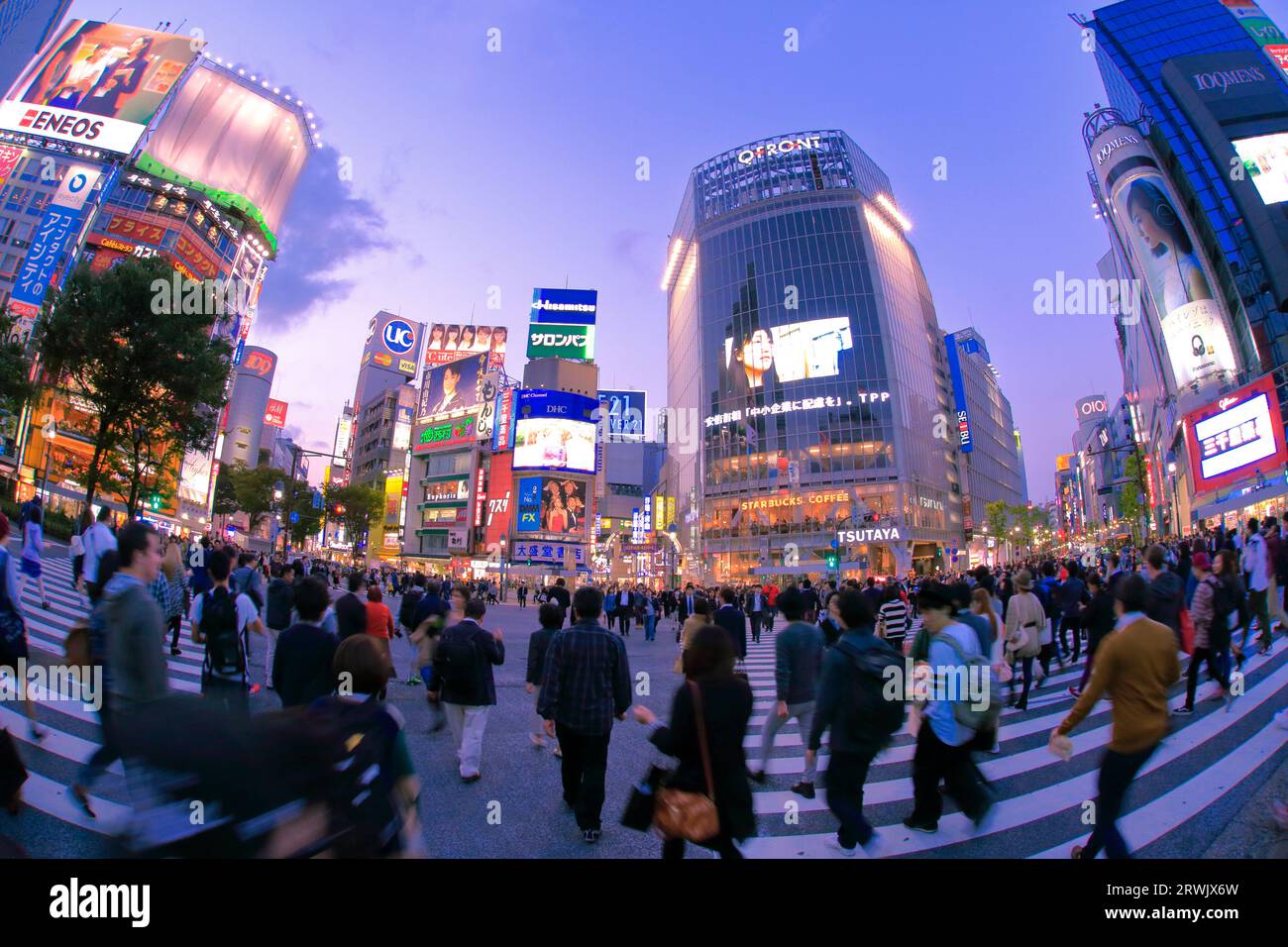 Shibuya crossing sign hi-res stock photography and images - Alamy