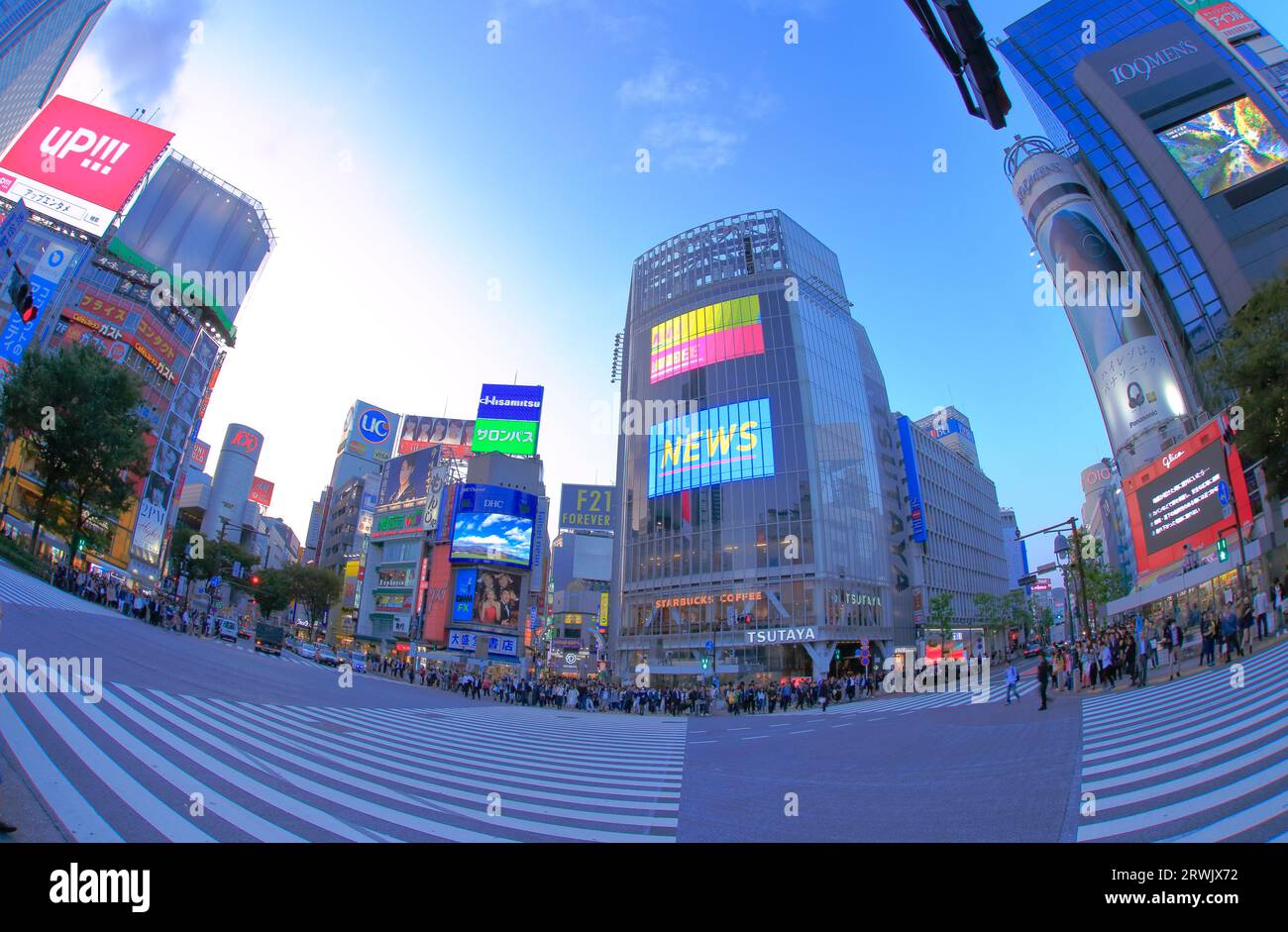 Shibuya scramble crossing Stock Photo - Alamy