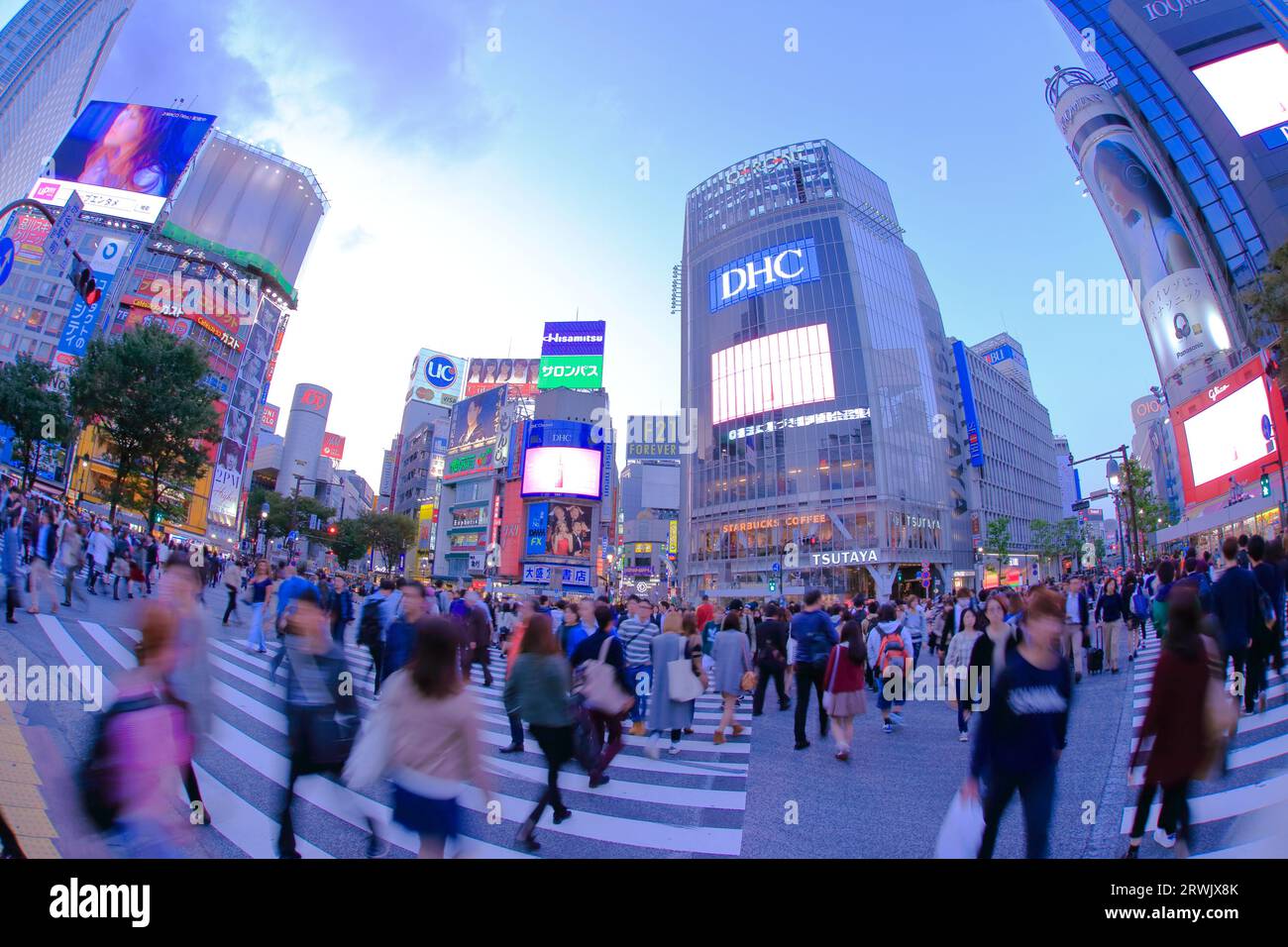 Shibuya scramble crossing Stock Photo - Alamy
