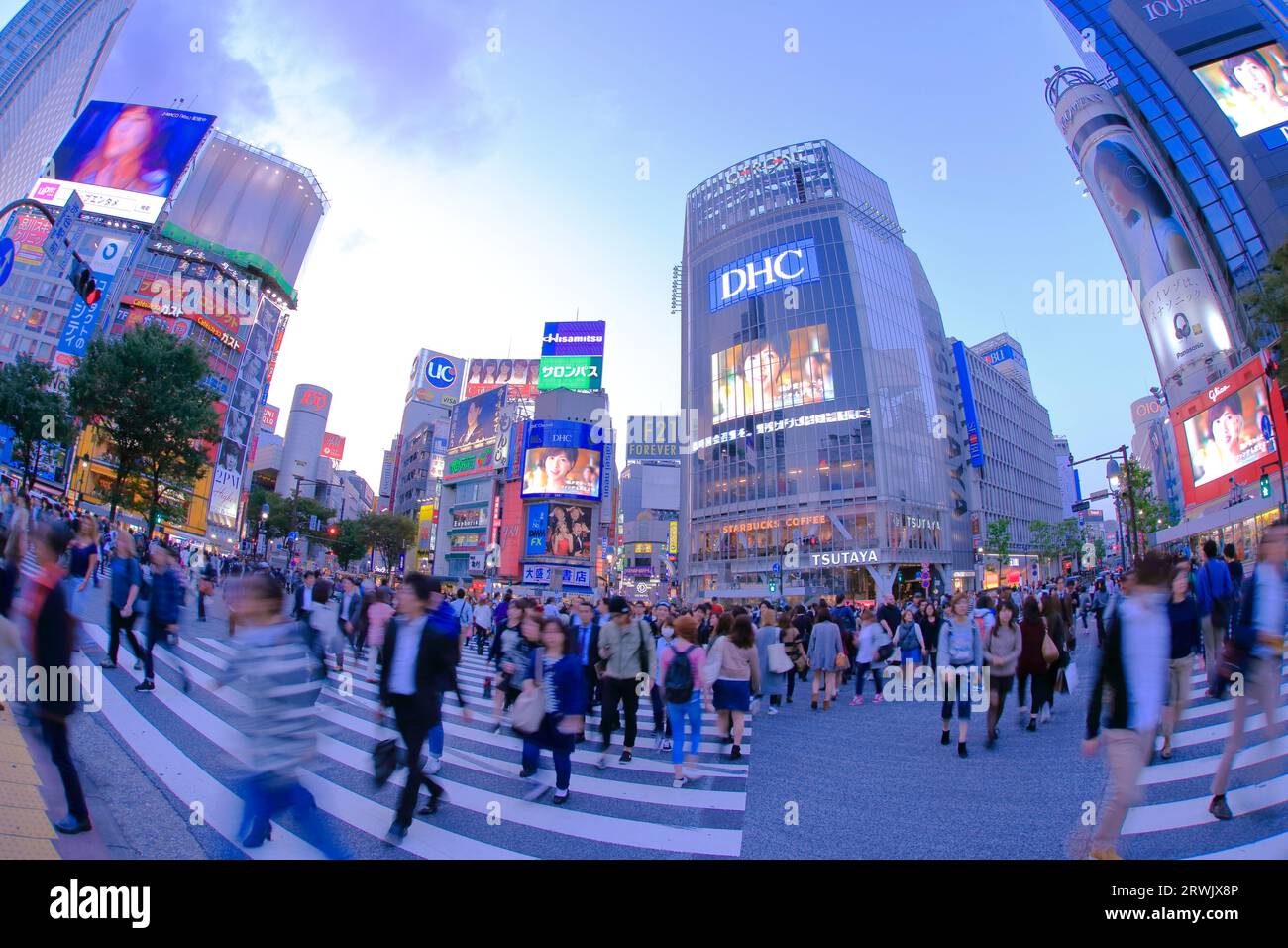 Low angle view people crossing hi-res stock photography and images - Alamy
