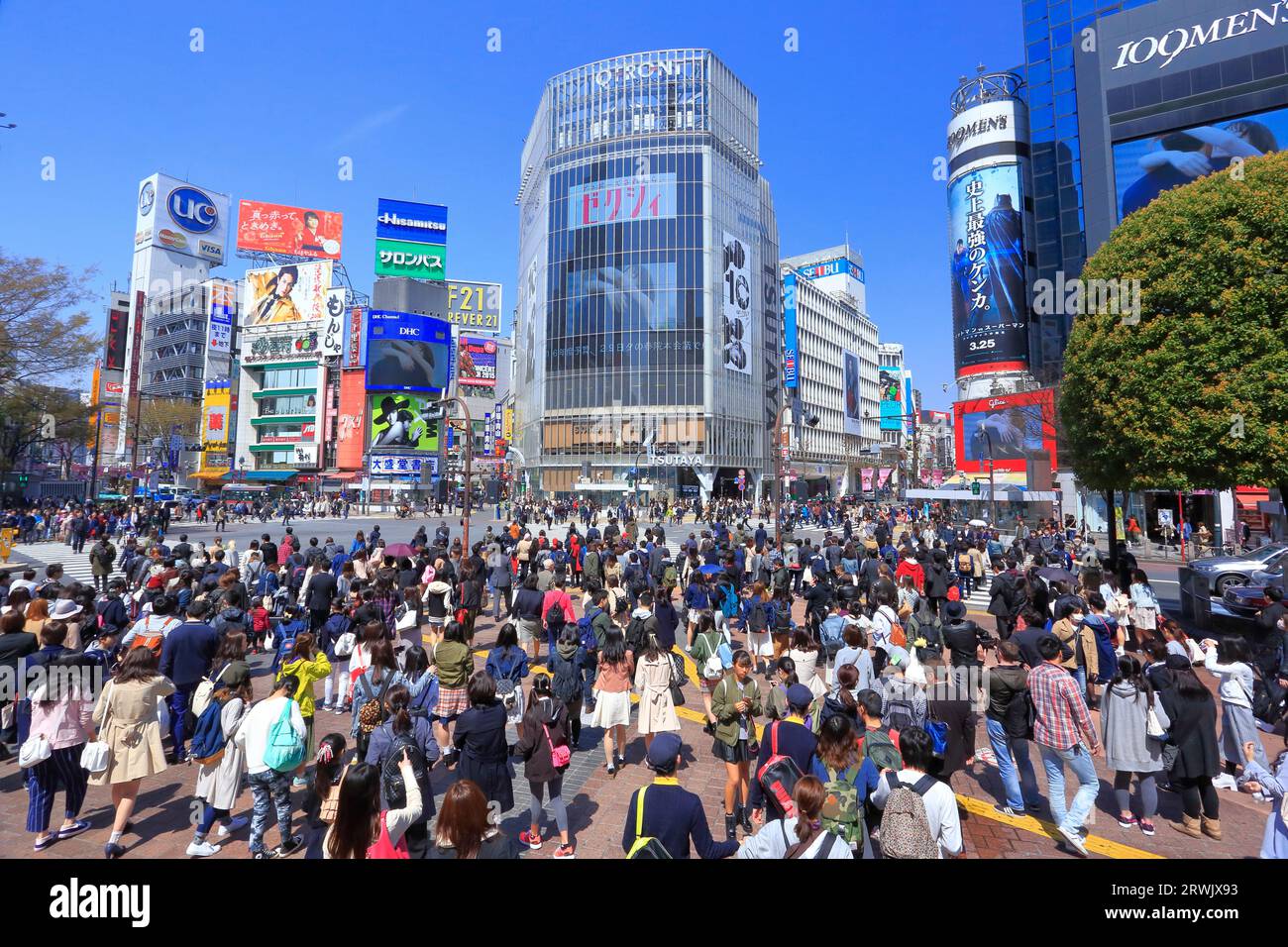 Shibuya scramble crossing Stock Photo - Alamy