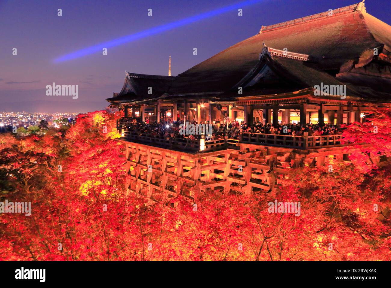 Kiyomizu-dera temple illuminated in autumn leaves Stock Photo - Alamy