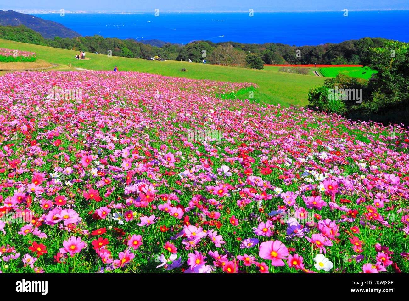 Awaji island japan view hi-res stock photography and images - Alamy