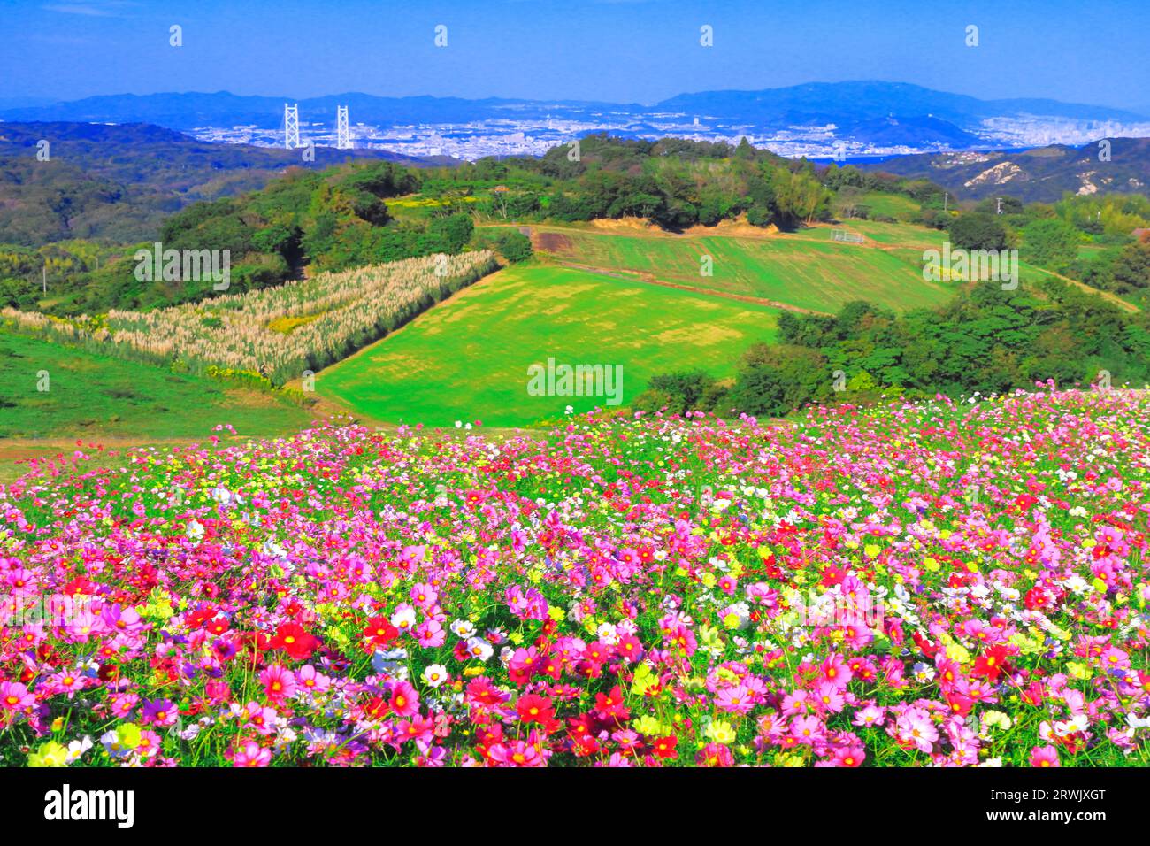 Kobe hana hi-res stock photography and images - Alamy