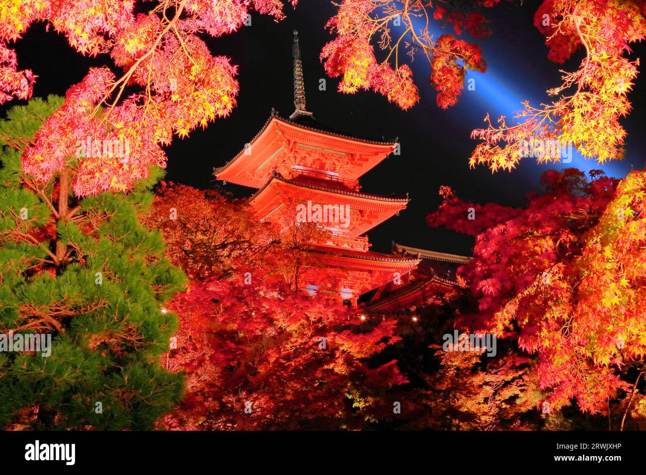 Kiyomizu-dera temple illuminated in autumn leaves Stock Photo - Alamy