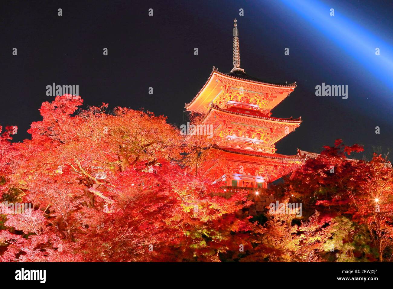Kiyomizu-dera temple illuminated in autumn leaves Stock Photo - Alamy